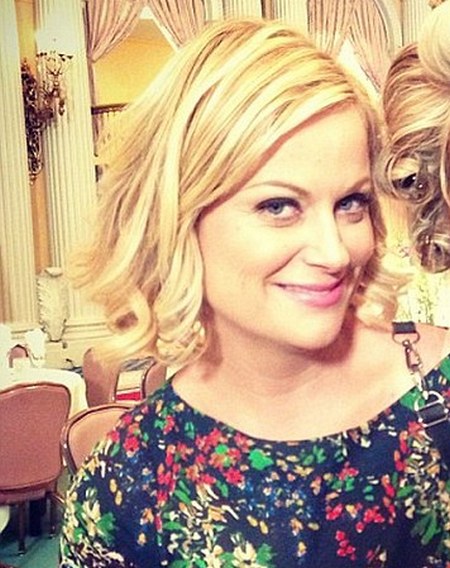 Amy Poehler Family: Husband, Kids, Parents, Siblings | FamilyWing